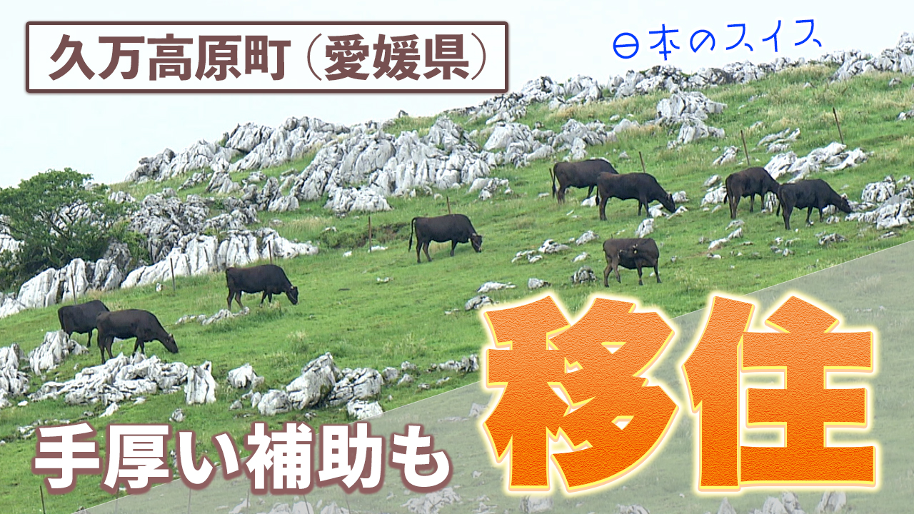 【楽天市場】rnb | 【移住ブーム】理想のライフスタイルへ！熱い視線を注がれる町、久万高原町って？